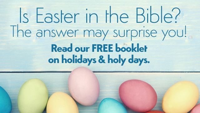 From Holidays to Holy Days: God's Plan for You